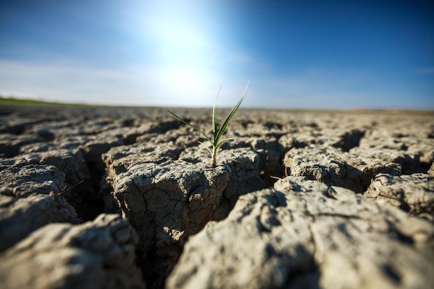 Our Land, Our Future - Phillip Capital Management